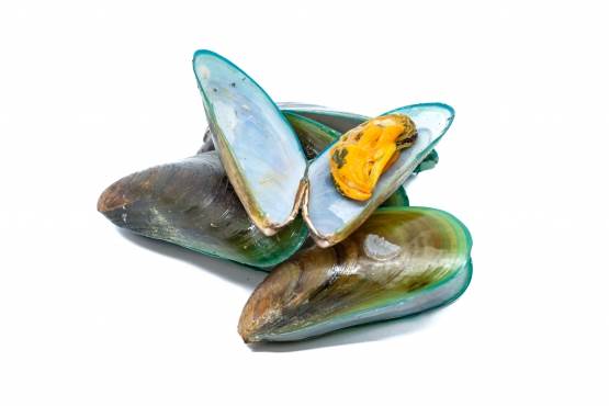 GREEN MUSSELS